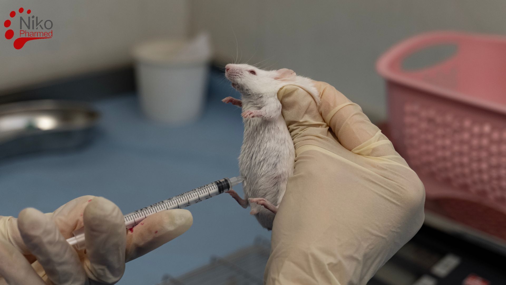 Subchronic Systemic Toxicity | International and Accredited Lab